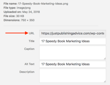17 Book Marketing Ideas You Can Do In Less Than 90 Minutes